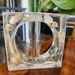 Sea Shell Plant Propagation Stand - Etsy