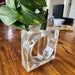 Sea Shell Plant Propagation Stand - Etsy