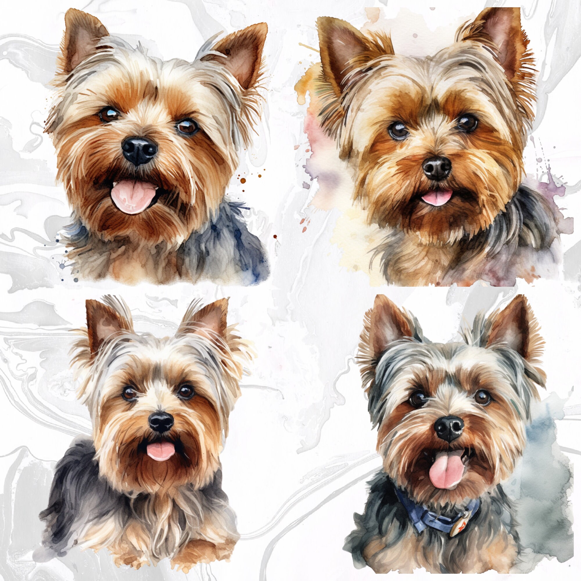Yorkshire Terrier - Yorkie Watercolor Clipart Transparent Background ...