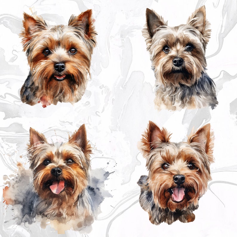 Yorkshire Terrier - Yorkie Watercolor Clipart Transparent Background ...