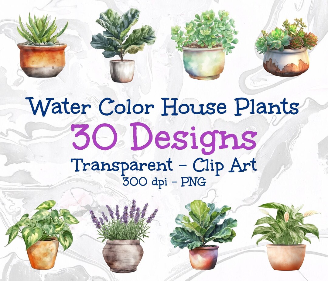 House Plant Watercolor Clipart 30 PNG, Watercolor Clipart, Wedding ...