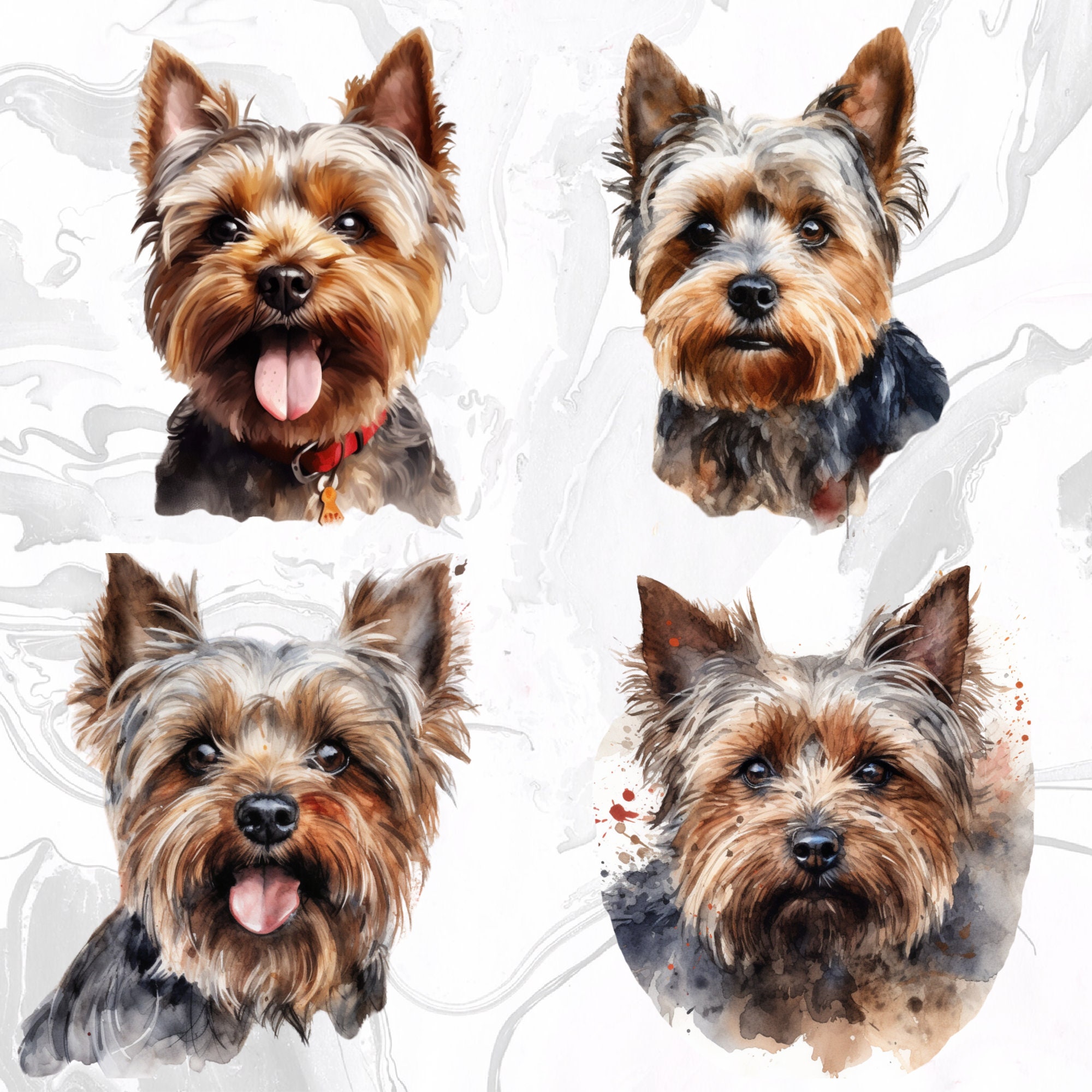 Yorkshire Terrier - Yorkie Watercolor Clipart Transparent Background ...