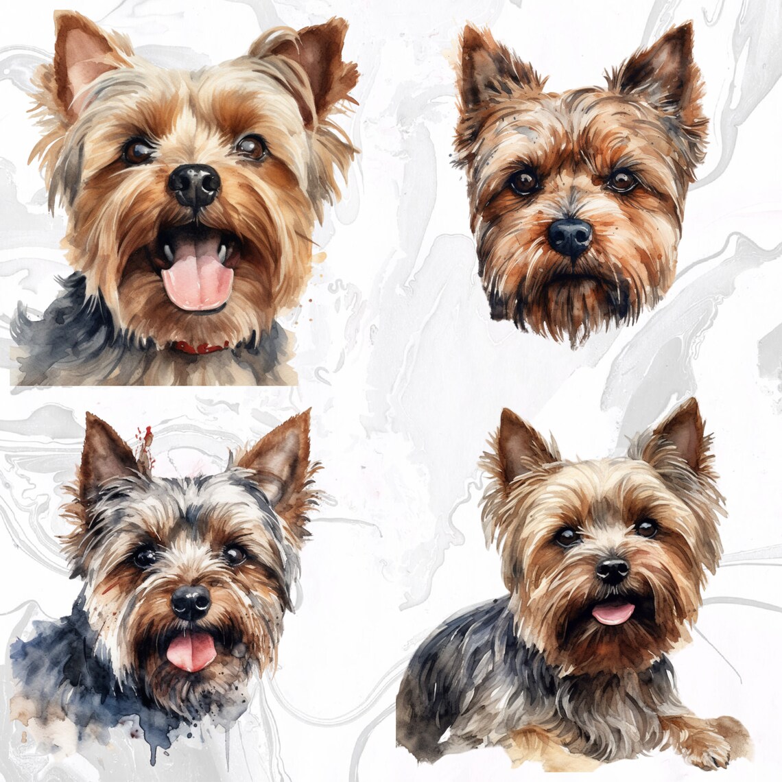 Yorkshire Terrier - Yorkie Watercolor Clipart Transparent Background ...