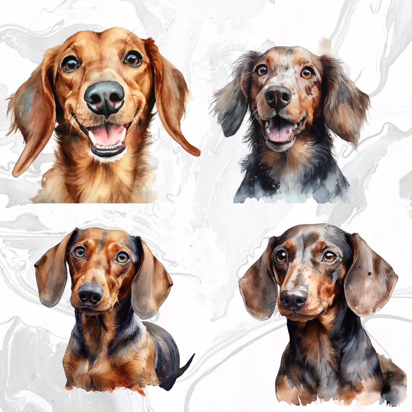 Dachshund Doxie Transparent Clipart, 20 PNG & SVG Clipart Bundle ...
