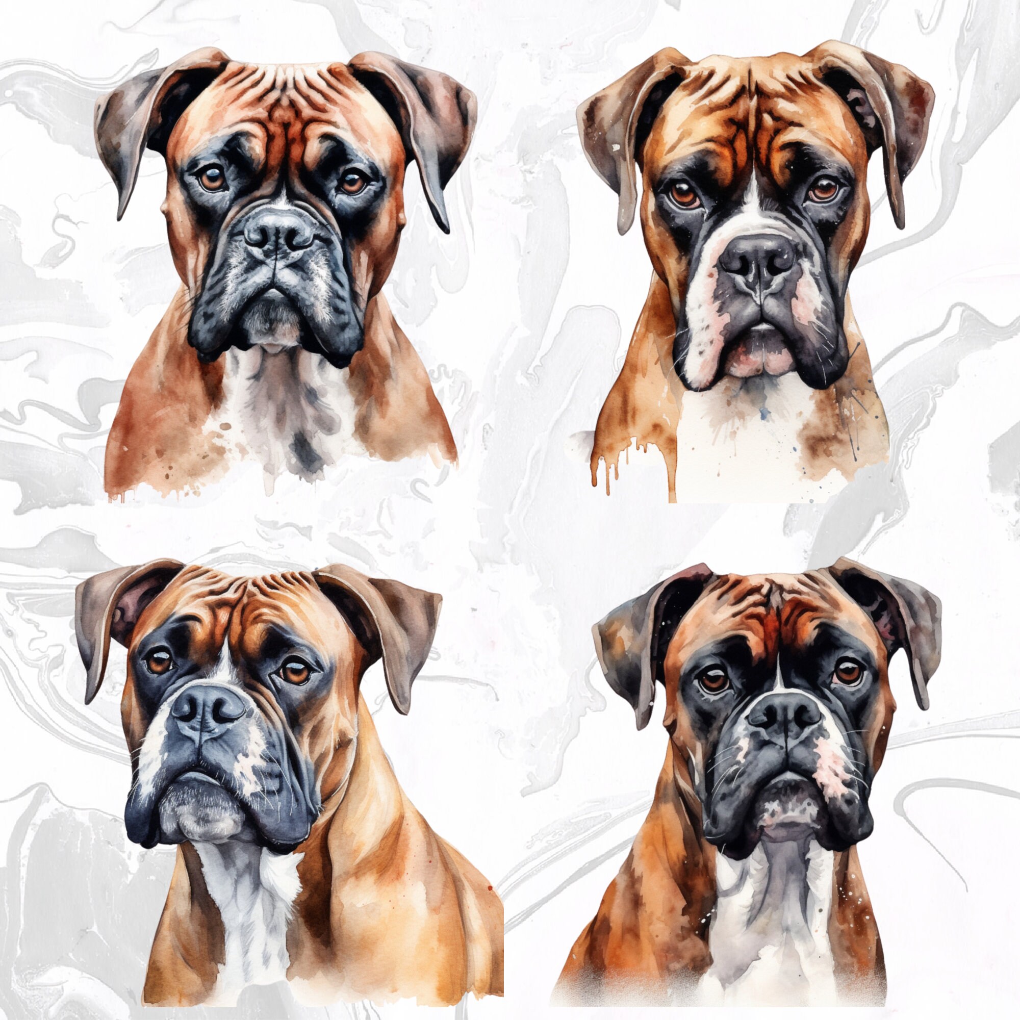 Boxer Watercolor Clipart Transparent Background, 20 PNG & SVG Clipart ...