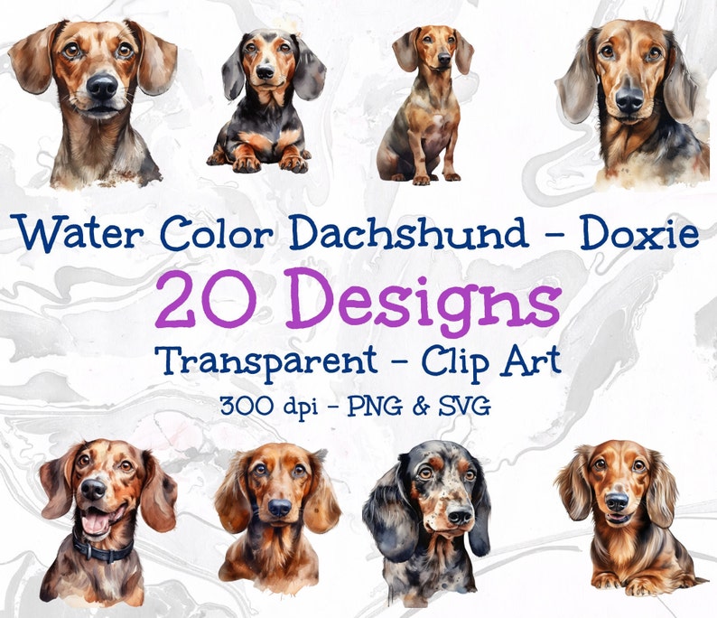 Dachshund Doxie Transparent Clipart, 20 PNG & SVG Clipart Bundle ...