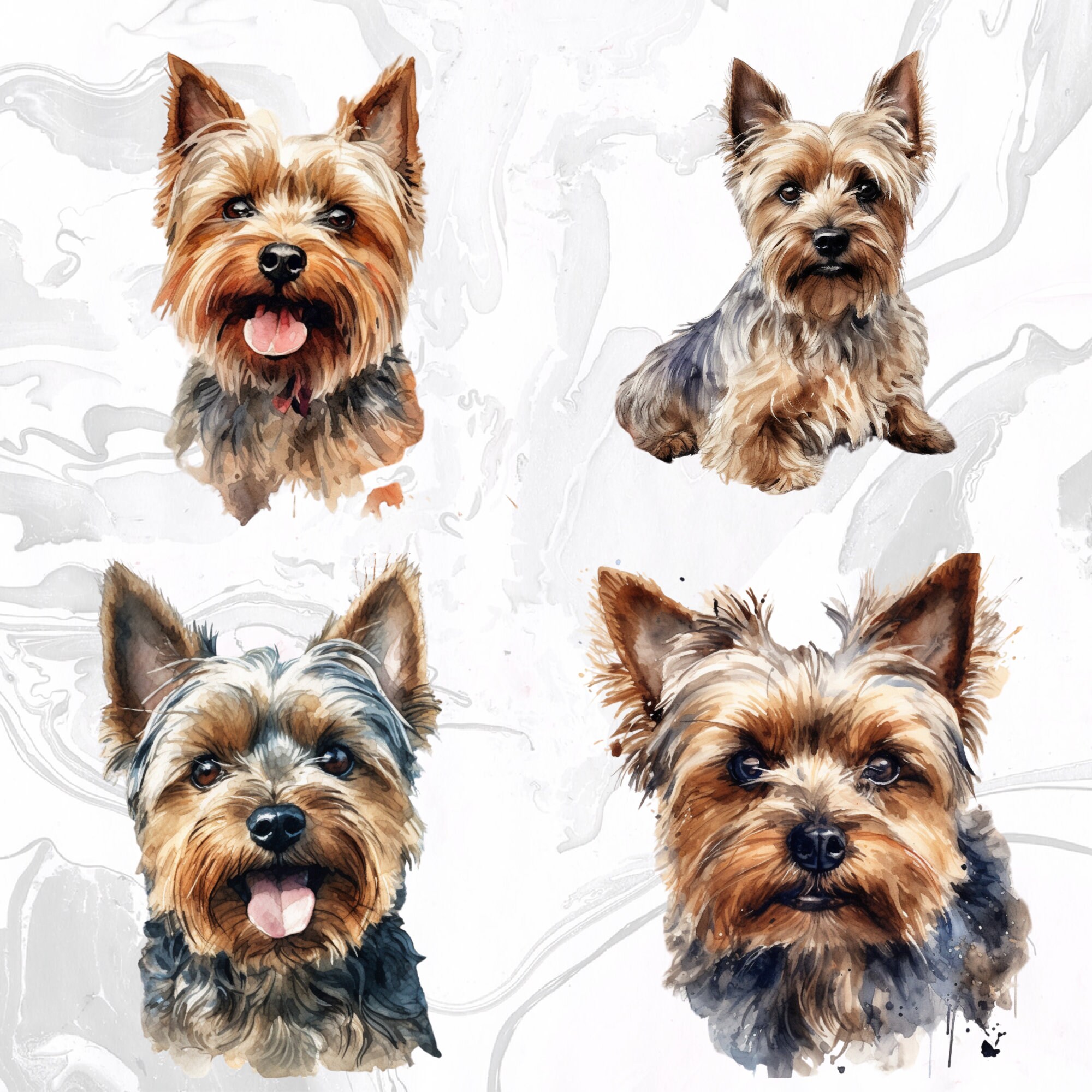 Yorkshire Terrier - Yorkie Watercolor Clipart Transparent Background ...