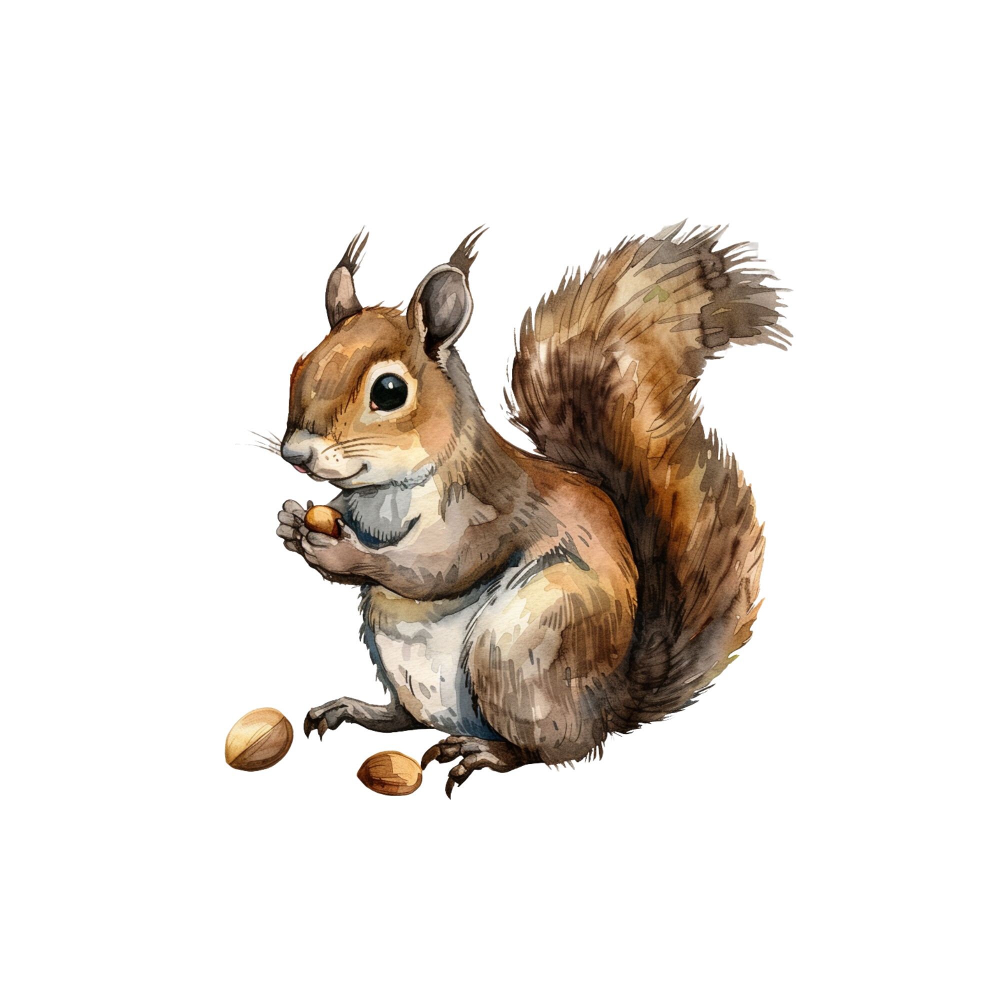 Watercolor Squirrels Clipart, Woodland Creatures PNG, Cute Squirrels ...