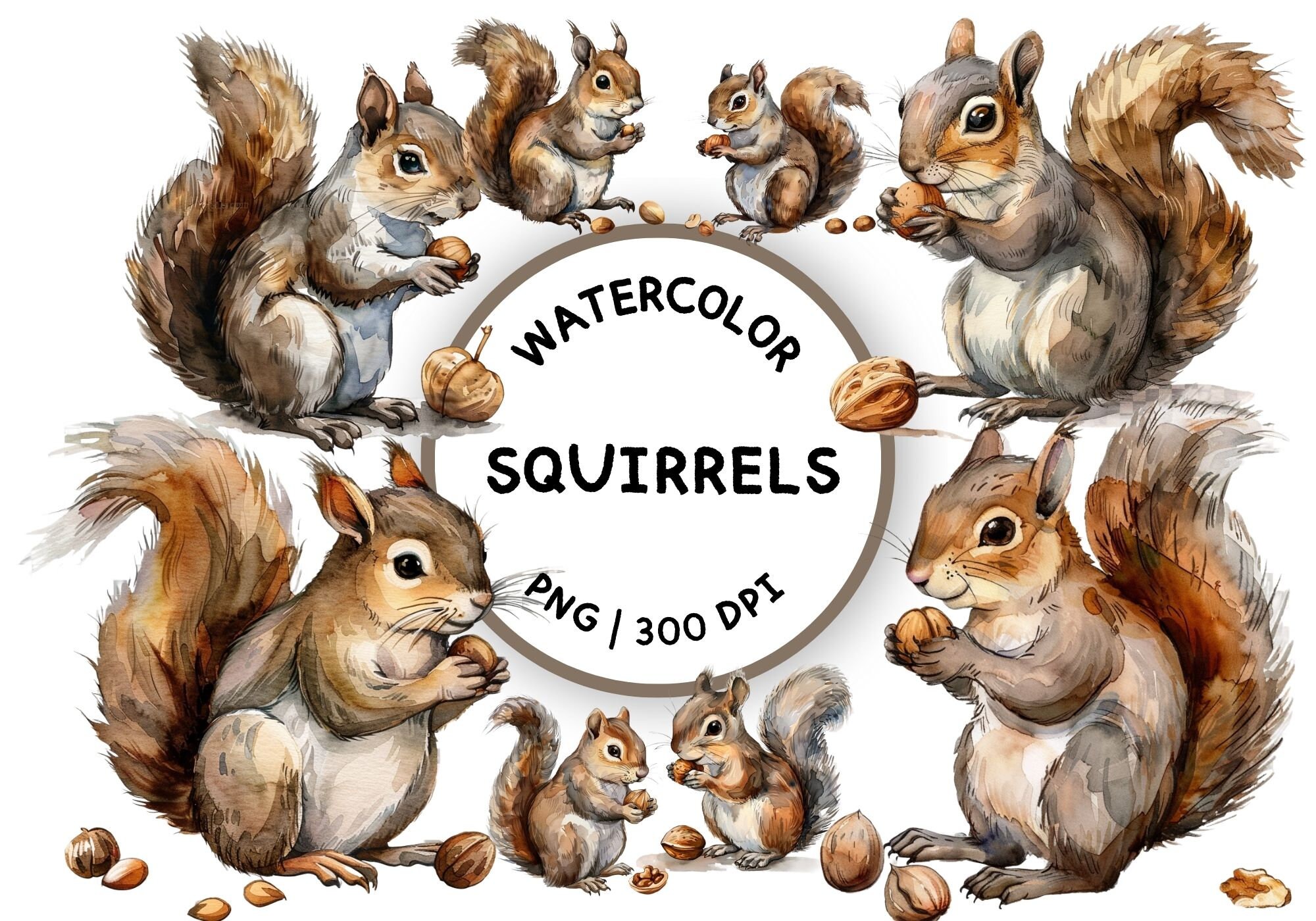Watercolor Squirrels Clipart, Woodland Creatures PNG, Cute Squirrels ...