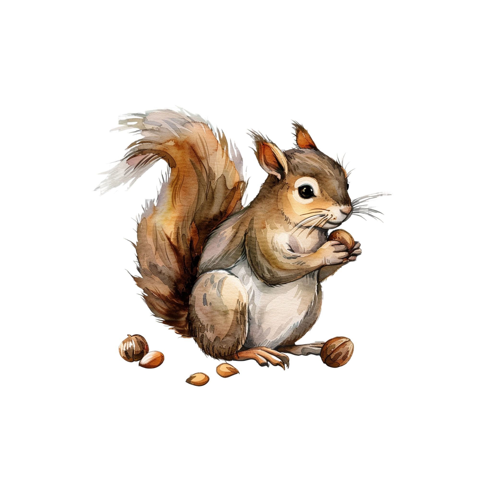 Watercolor Squirrels Clipart, Woodland Creatures PNG, Cute Squirrels ...