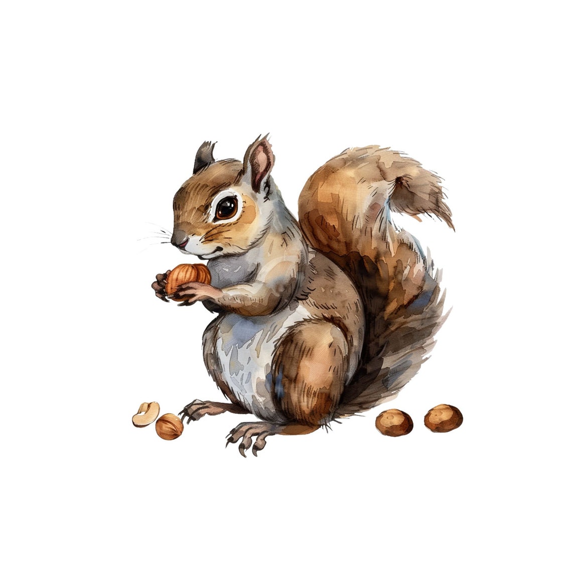 Watercolor Squirrels Clipart, Woodland Creatures PNG, Cute Squirrels ...