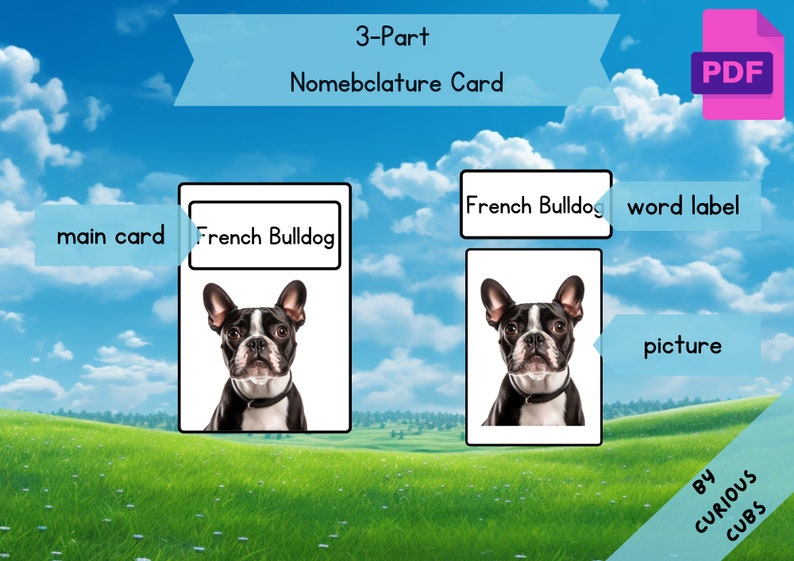 DOG BREEDS • 24 Printable Flashcards, Teaching Learning Resources ...