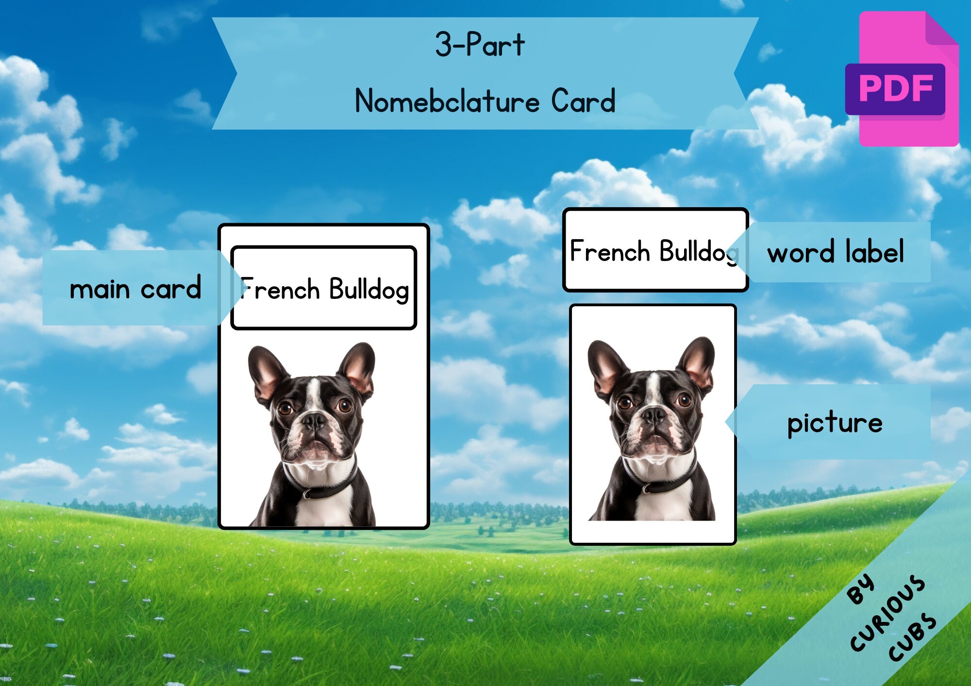 DOG BREEDS • 24 Printable Flashcards, Teaching Learning Resources ...