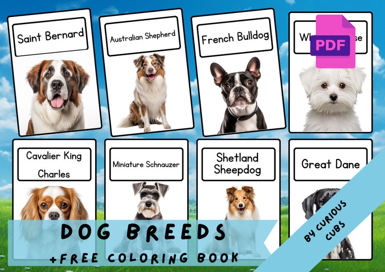 DOG BREEDS • 24 Printable Flashcards, Teaching Learning Resources ...