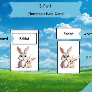 HOUSE PETS • 10 Printable Flashcards, Teaching Learning Resources ...