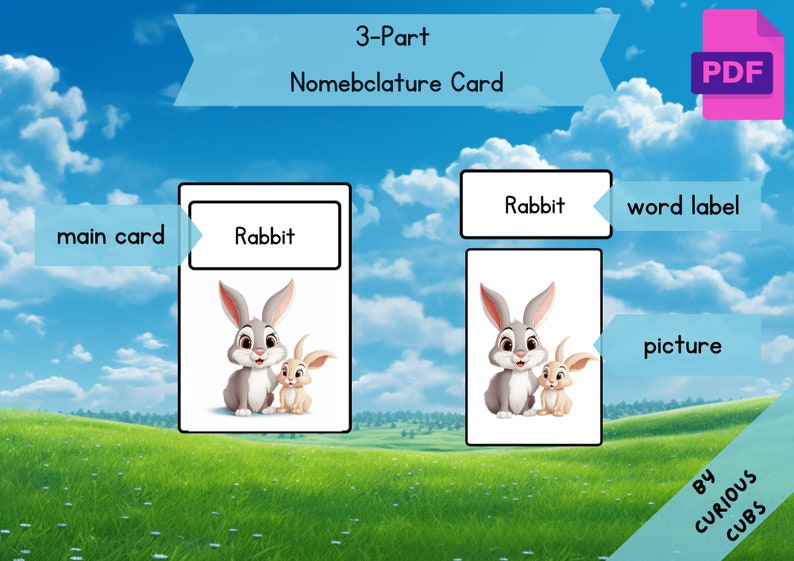 HOUSE PETS • 10 Printable Flashcards, Teaching Learning Resources ...