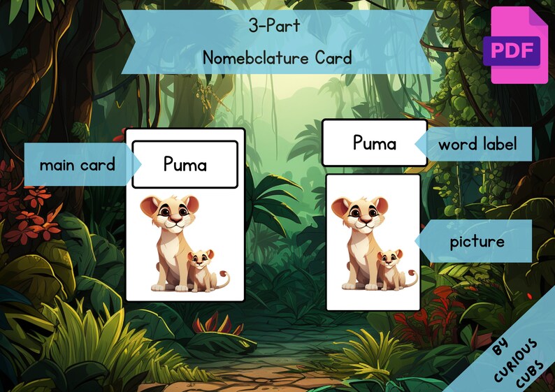 JUNGLE ANIMALS 32 Printable Flash Cards Teaching Learning Resources ...