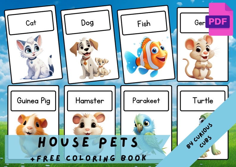 HOUSE PETS • 10 Printable Flashcards, Teaching Learning Resources ...