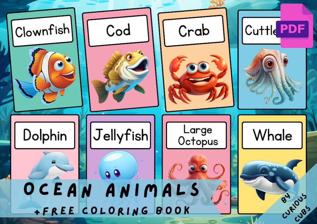 OCEAN ANIMALS • 22 Montessori Cards • Flash Cards Nomenclature ...