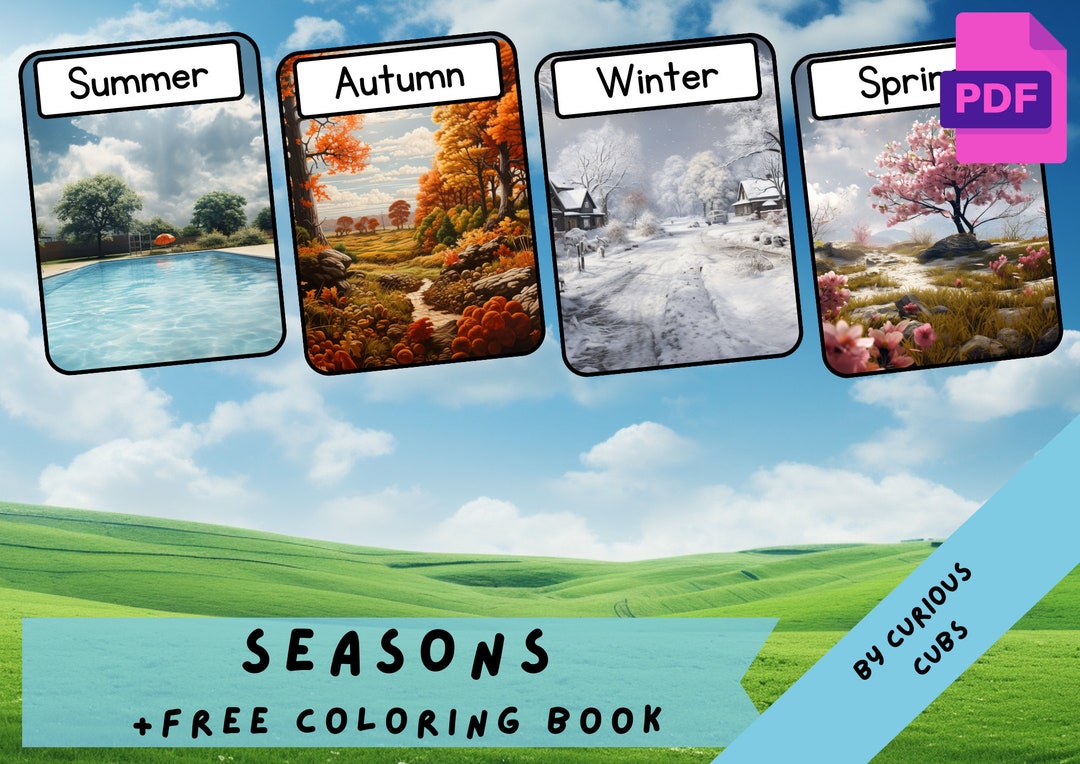 SEASONS • 4 Printable Flashcards, Teaching Learning Resources,teaching ...