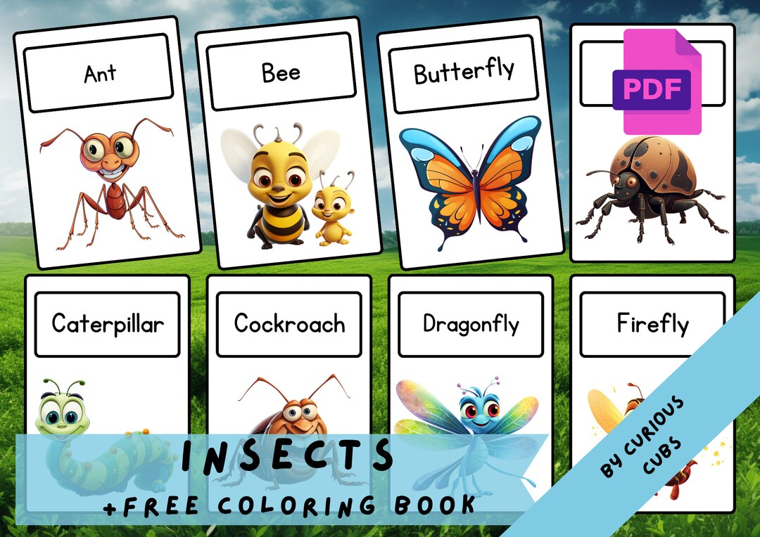 INSECTS • 16 Printable Flashcards, Teaching Learning Resources,teaching ...