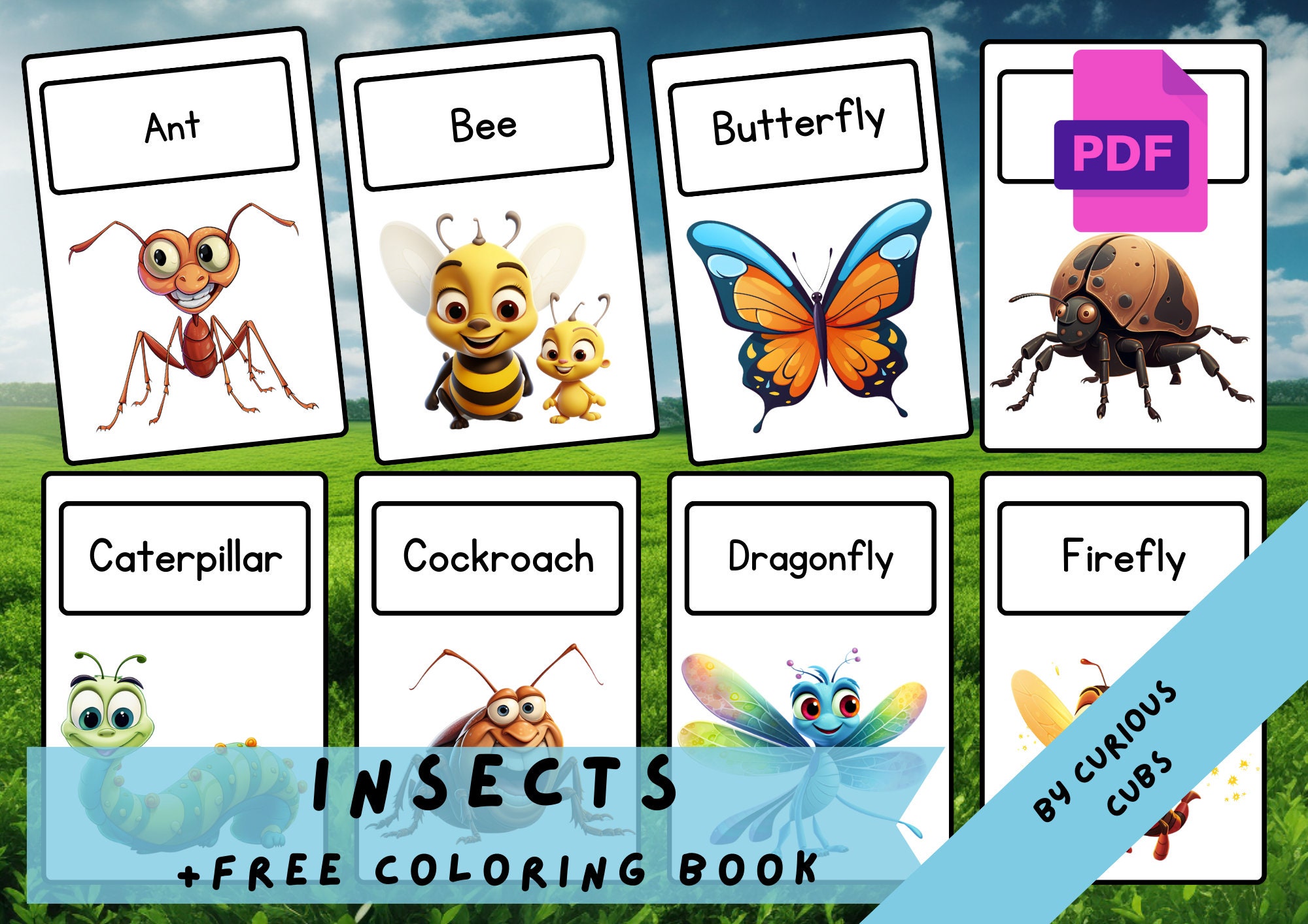 INSECTS 16 Printable Flashcards, Teaching Learning Resources,teaching ...