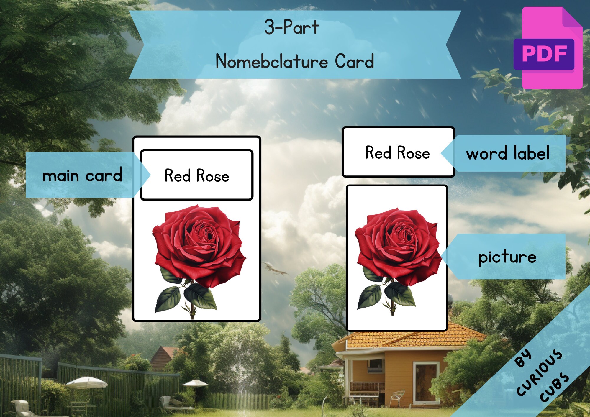 FLOWERS • 16 Printable Flashcards, Teaching Learning Resources,teaching ...