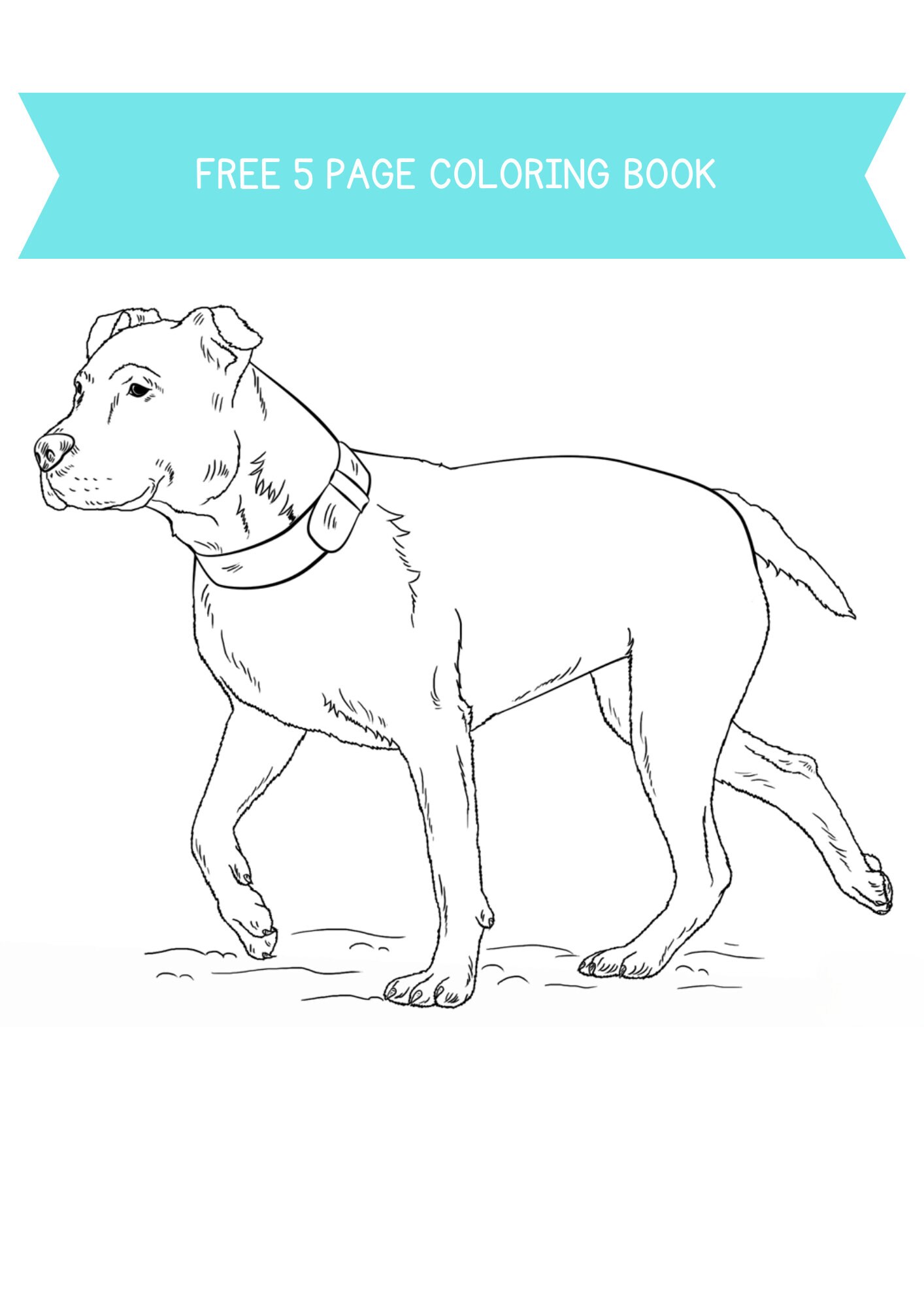 DOG BREEDS • 24 Printable Flashcards, Teaching Learning Resources ...