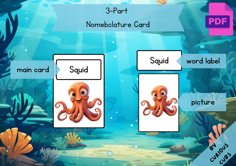 OCEAN ANIMALS • 22 Montessori Cards • Flash Cards Nomenclature ...