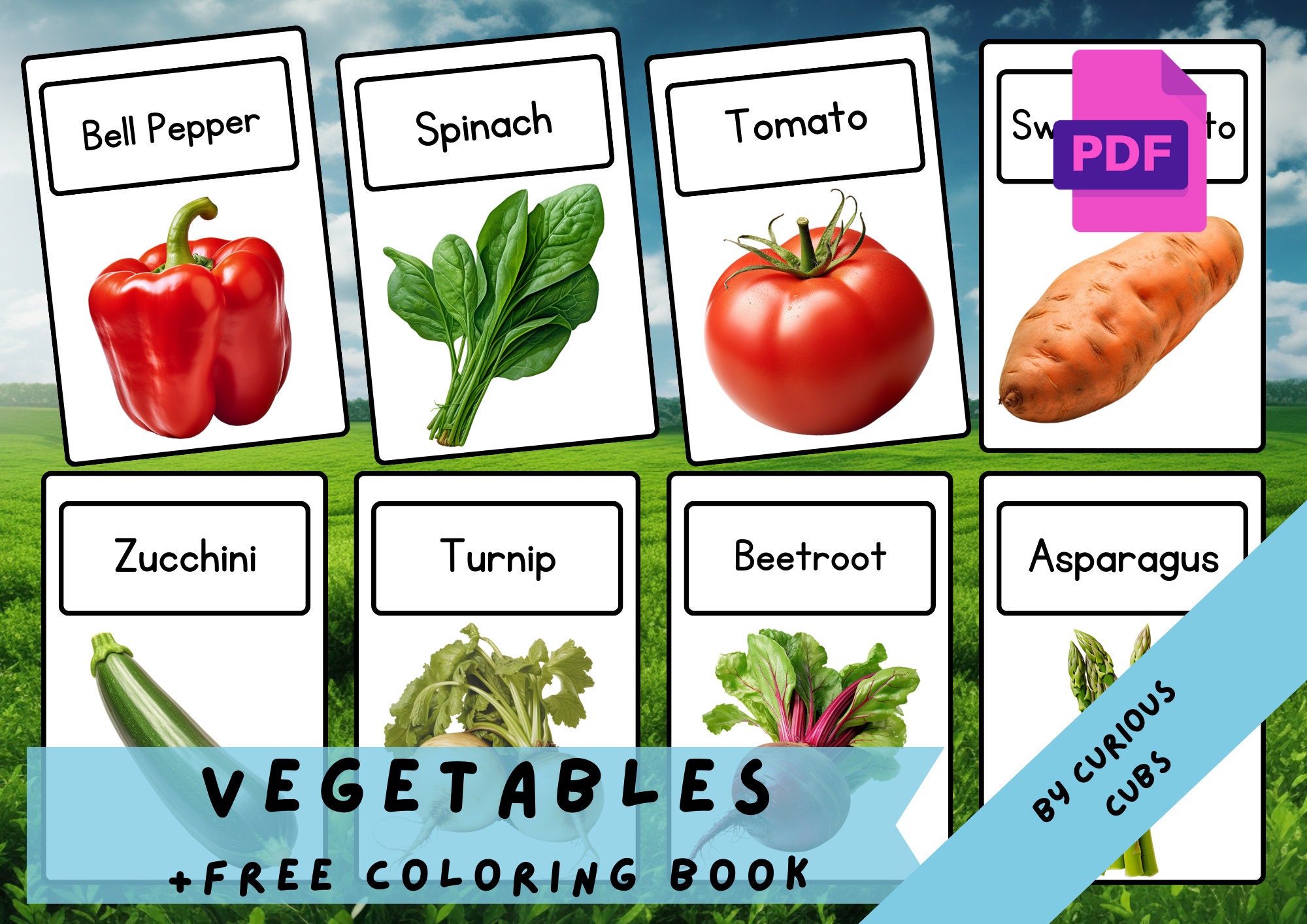 VEGETABLES • 24 Printable Flashcards, Teaching Learning Resources ...