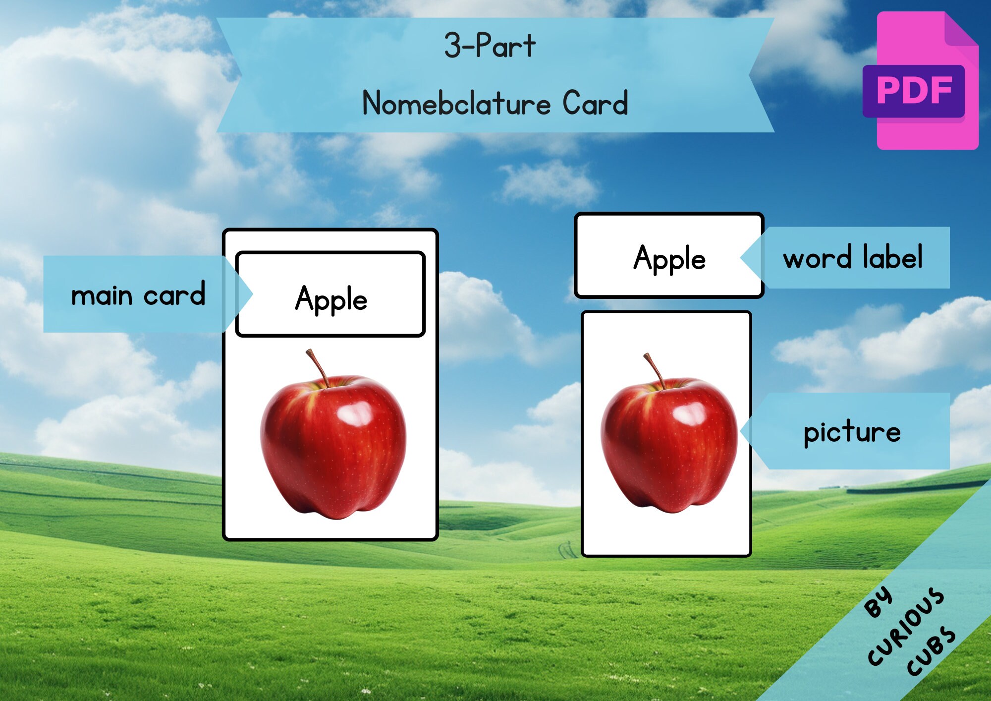 FRUITS • 24 Printable Flashcards, Teaching Learning Resources,teaching ...