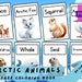 ARCTIC ANIMALS • 20 Printable Flash Cards • Flash Cards Nomenclature ...