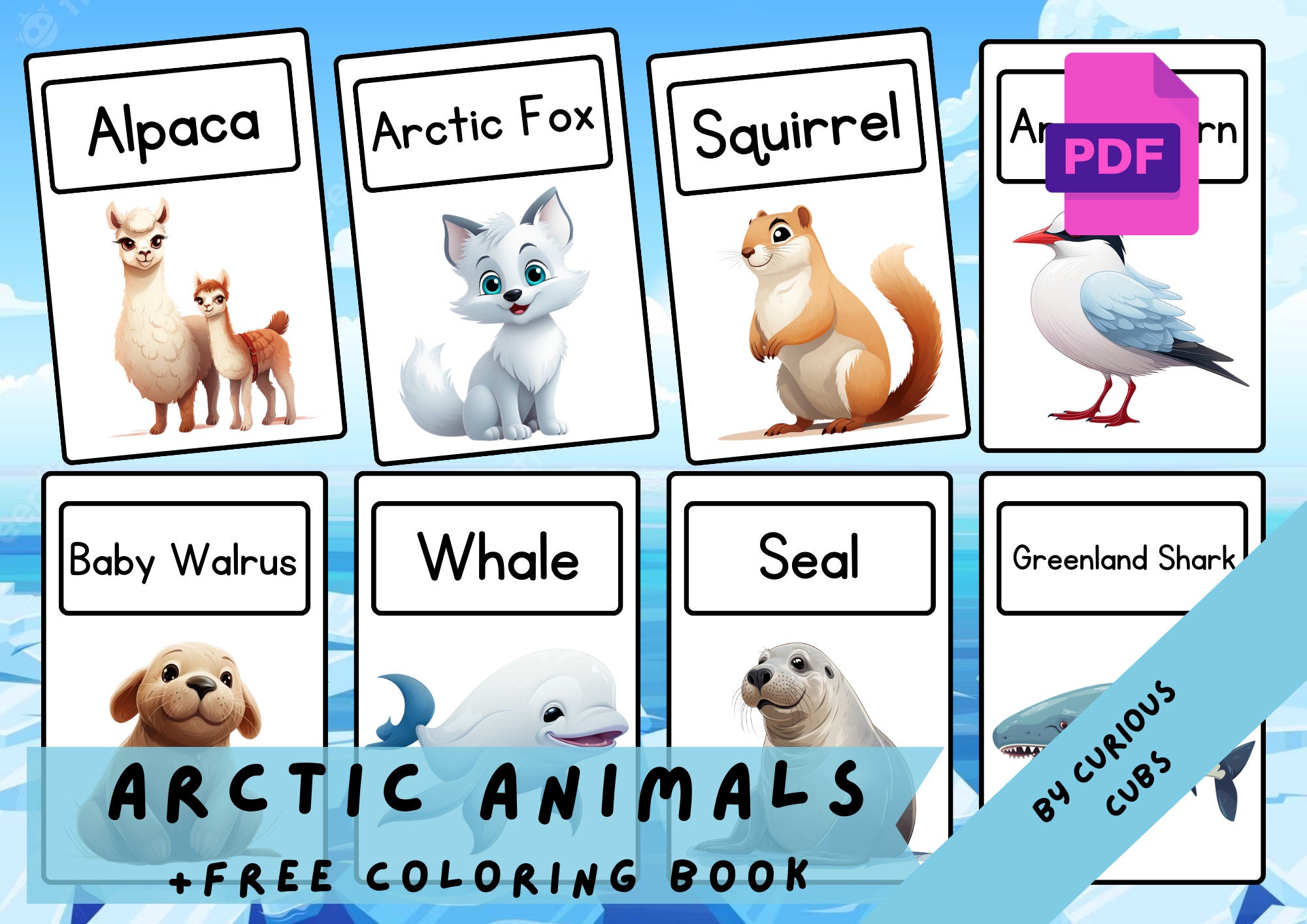 ARCTIC ANIMALS 20 Printable Flash Cards Flash Cards Nomenclature ...