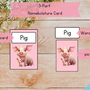 FARM ANIMALS • 33 Printable Flash Cards • Flash Cards Nomenclature ...