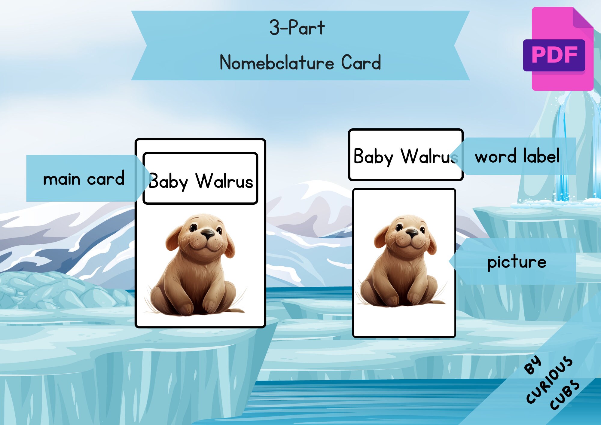 ARCTIC ANIMALS 20 Printable Flash Cards Flash Cards Nomenclature ...
