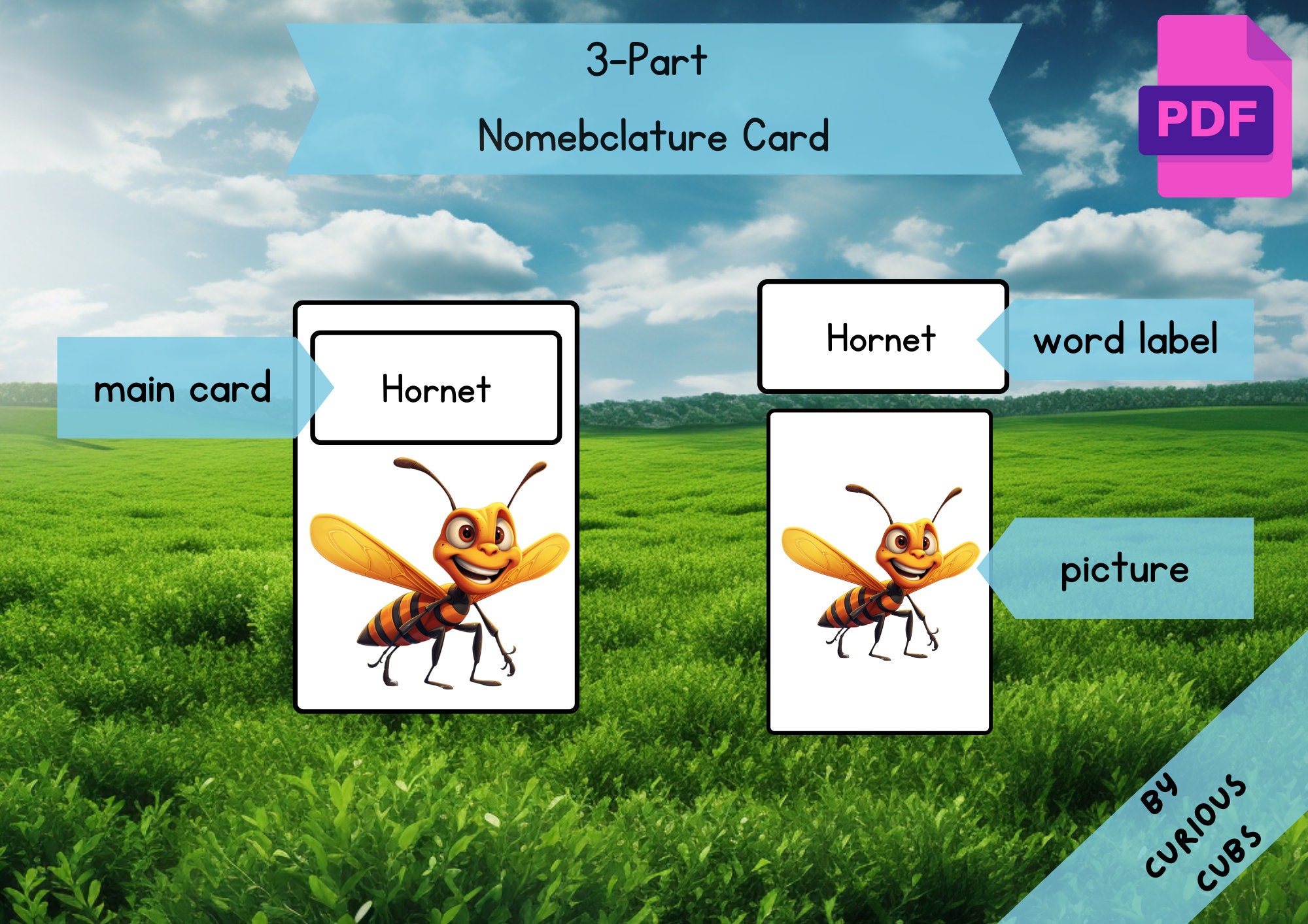 INSECTS • 16 Printable Flashcards, Teaching Learning Resources,teaching ...