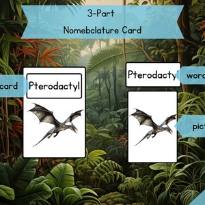 DINOSAURS • 12 Digital Montessori Cards • Flash Cards Nomenclature ...