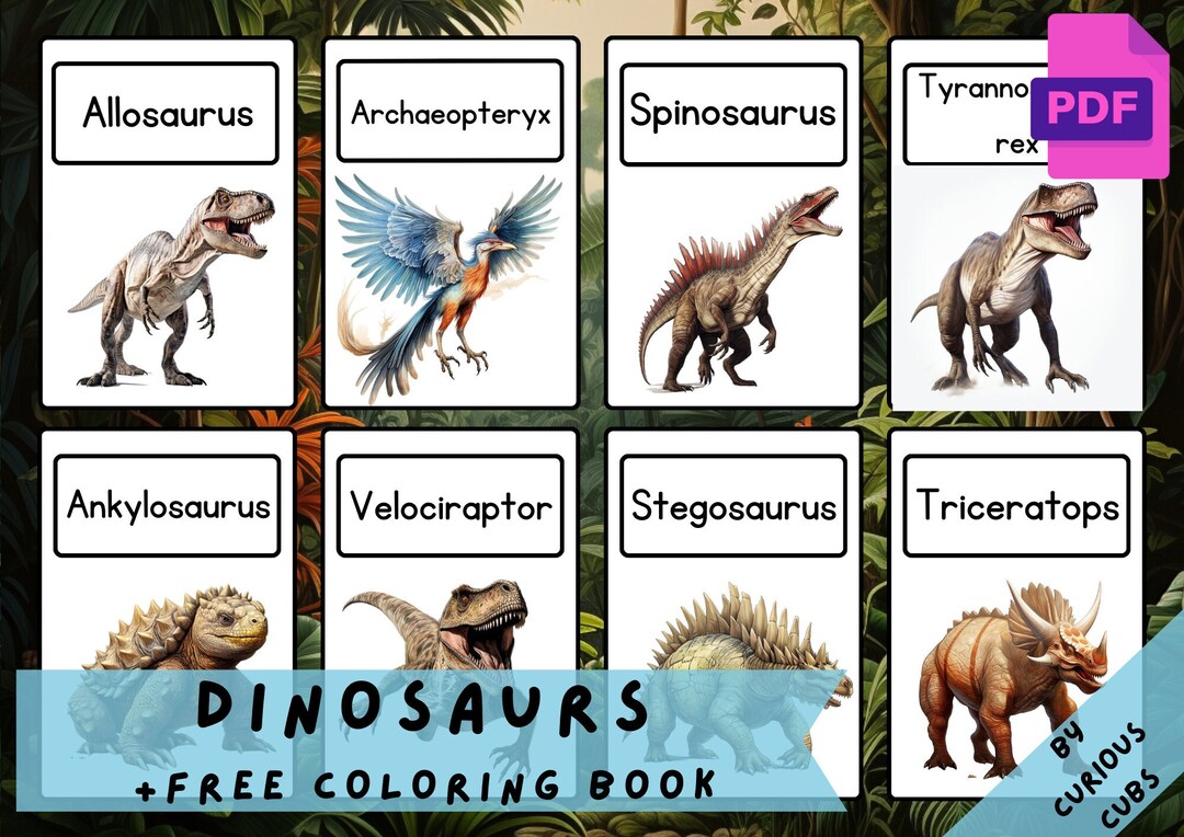 DINOSAURS • 12 Digital Montessori Cards • Flash Cards Nomenclature ...
