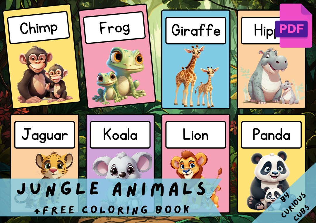 JUNGLE ANIMALS 32 Printable Flash Cards Teaching Learning Resources ...
