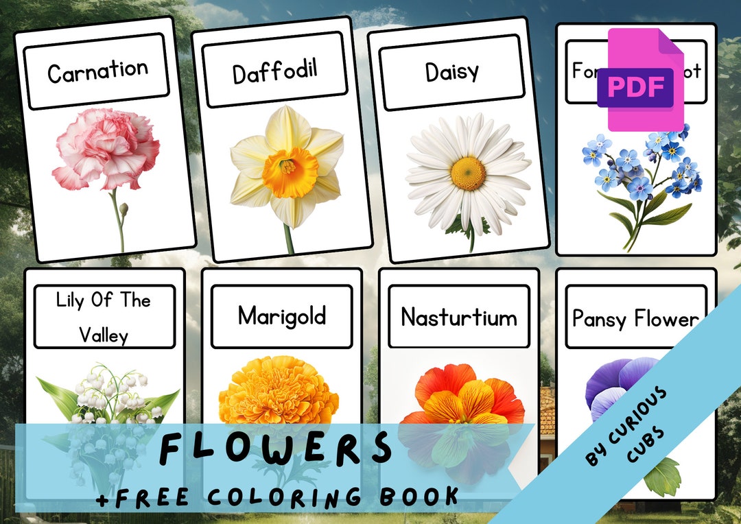 FLOWERS • 16 Printable Flashcards, Teaching Learning Resources,teaching ...