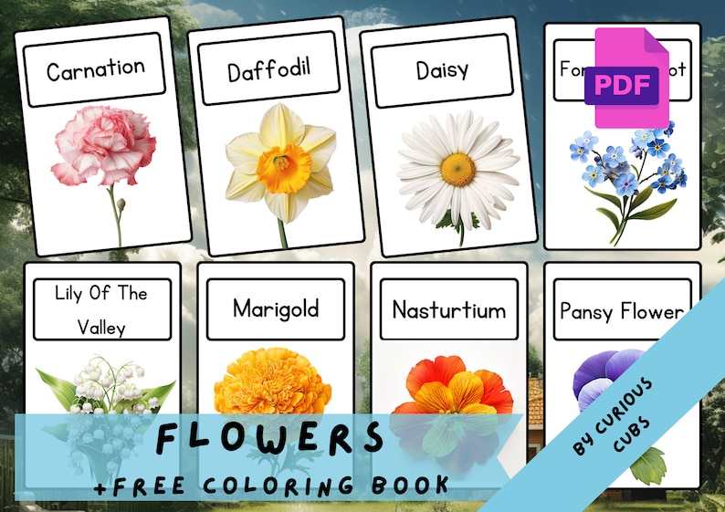 FLOWERS • 16 Printable Flashcards, Teaching Learning Resources,teaching ...