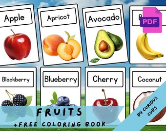 VEHICLES 24 Montessori Cards Flash Cards Nomenclature - Etsy