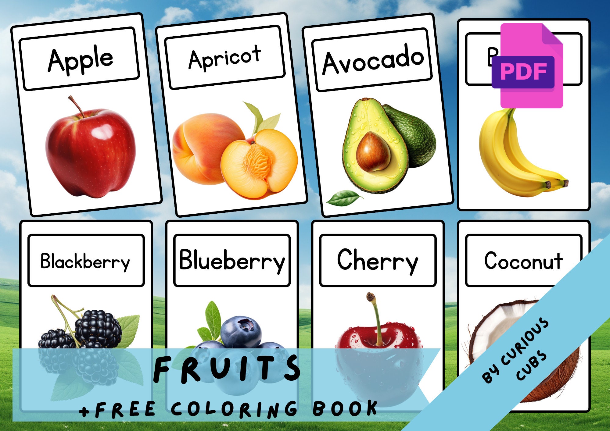 FRUITS 24 Printable Flashcards, Teaching Learning Resources,teaching ...