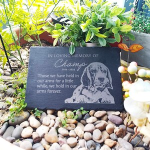 Custom Dog Memorial Plaque, Personalized Dog Remembrance Plaque, Loss ...