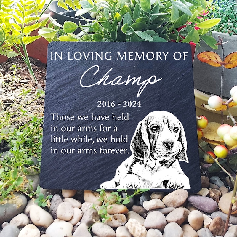 Pet Memorial Plaque - Etsy