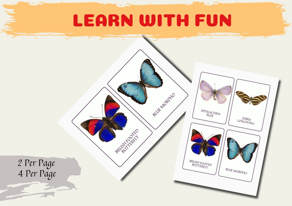 Printable Butterfly Species | Montessori Printable Flashcards ...