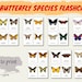 Printable Butterfly Species | Montessori Printable Flashcards ...