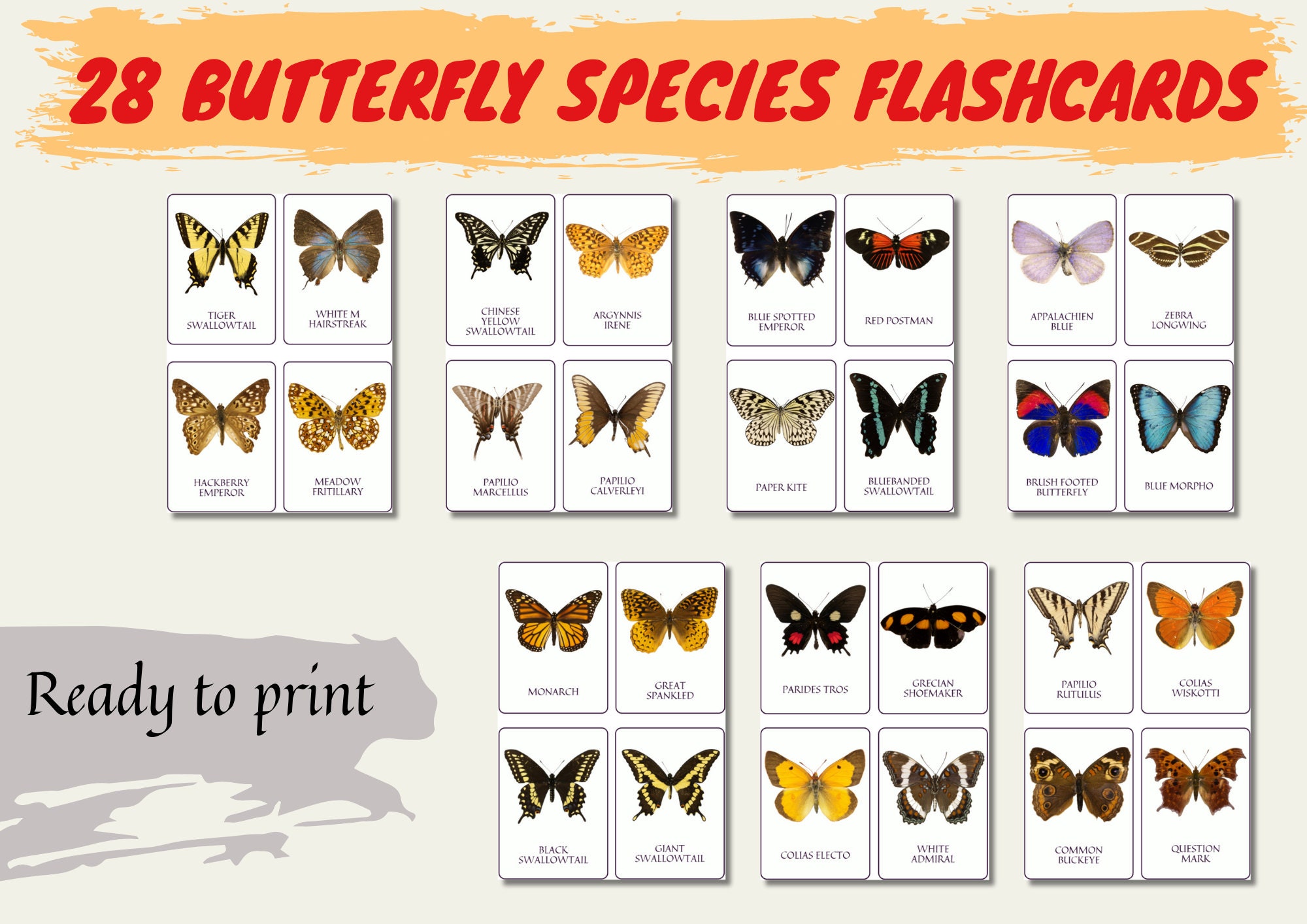 Printable Butterfly Species | Montessori Printable Flashcards ...