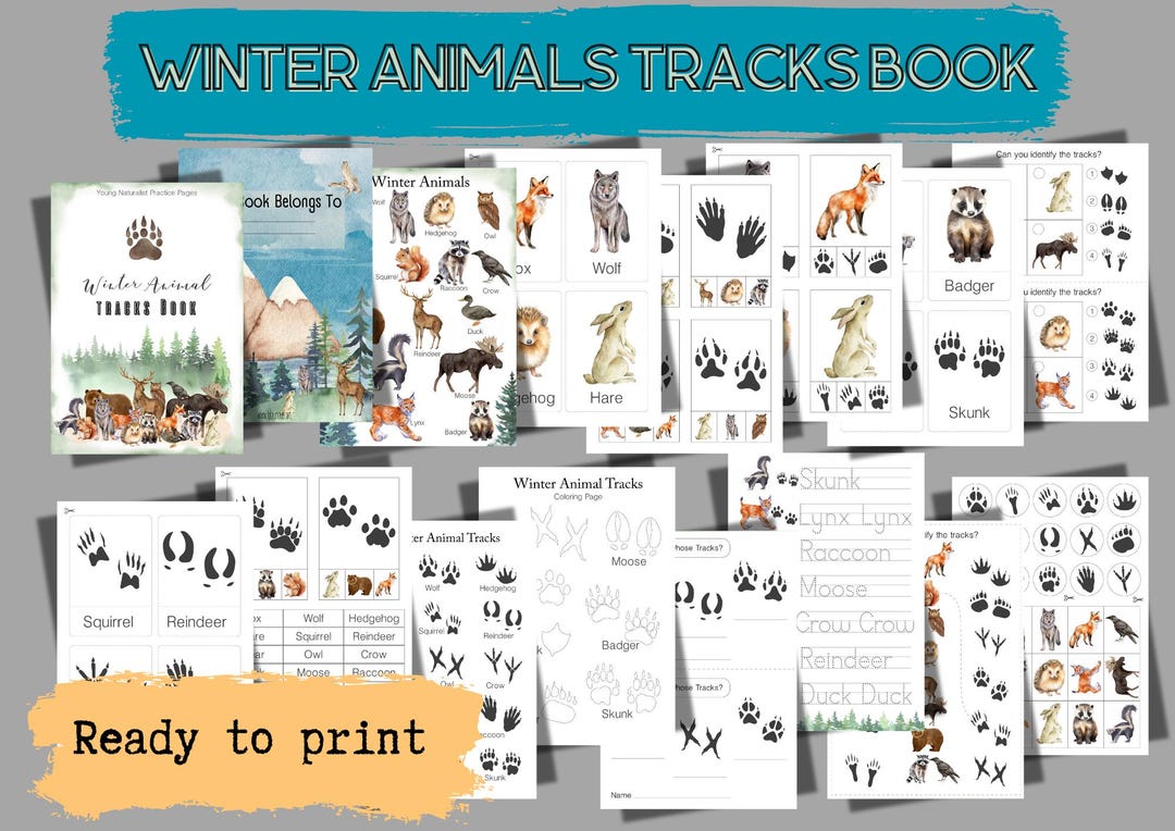 Winter Animals Track Book Printable Preschool Curriculum Homeschool ...