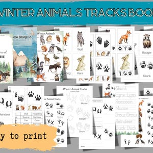 Winter Animals Track Book Printable Preschool Curriculum Homeschool ...